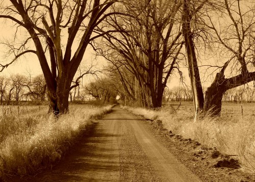 Overlijdensbericht Dirk Mestdagh - Uitvaartcentrum Van Lent